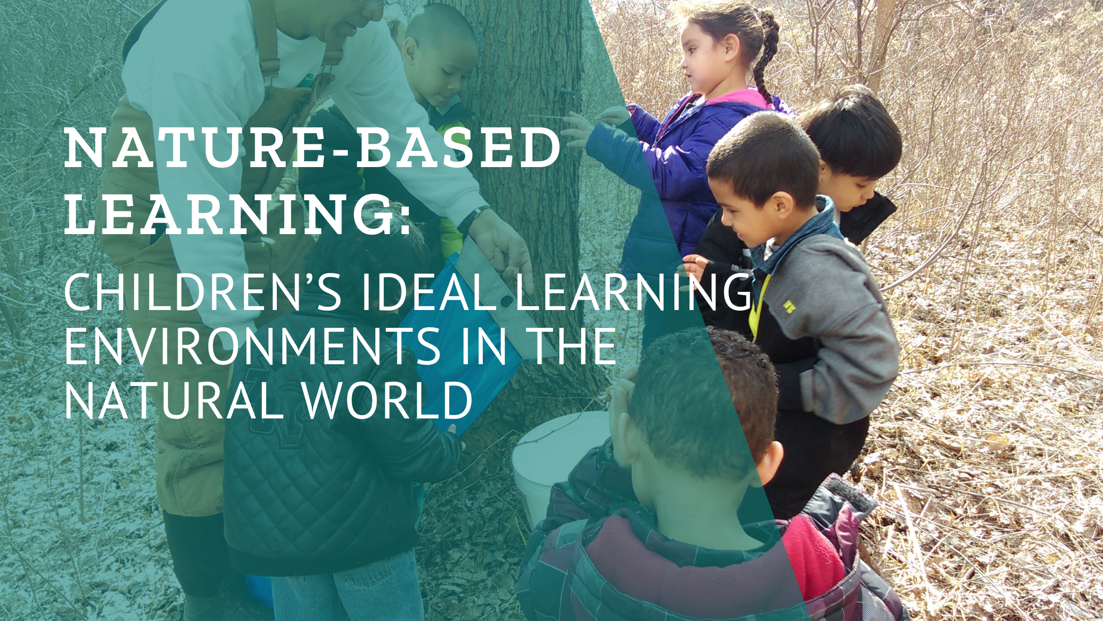Nature-Based Learning: Children’s Ideal Learning Environments in the ...